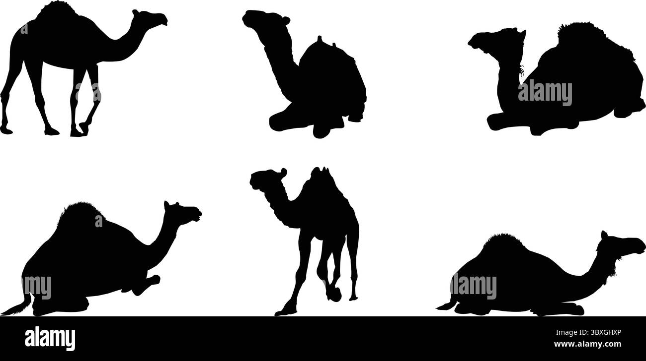 Lantern silhouettes Black and White Stock Photos & Images - Alamy