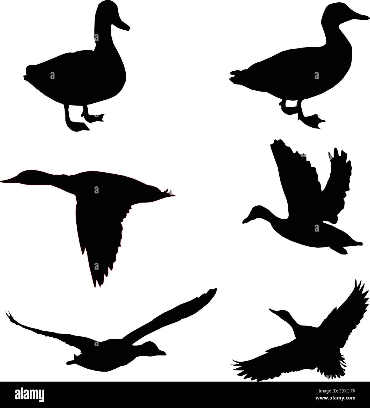 Stylish duck logo Stock Vector Images - Alamy