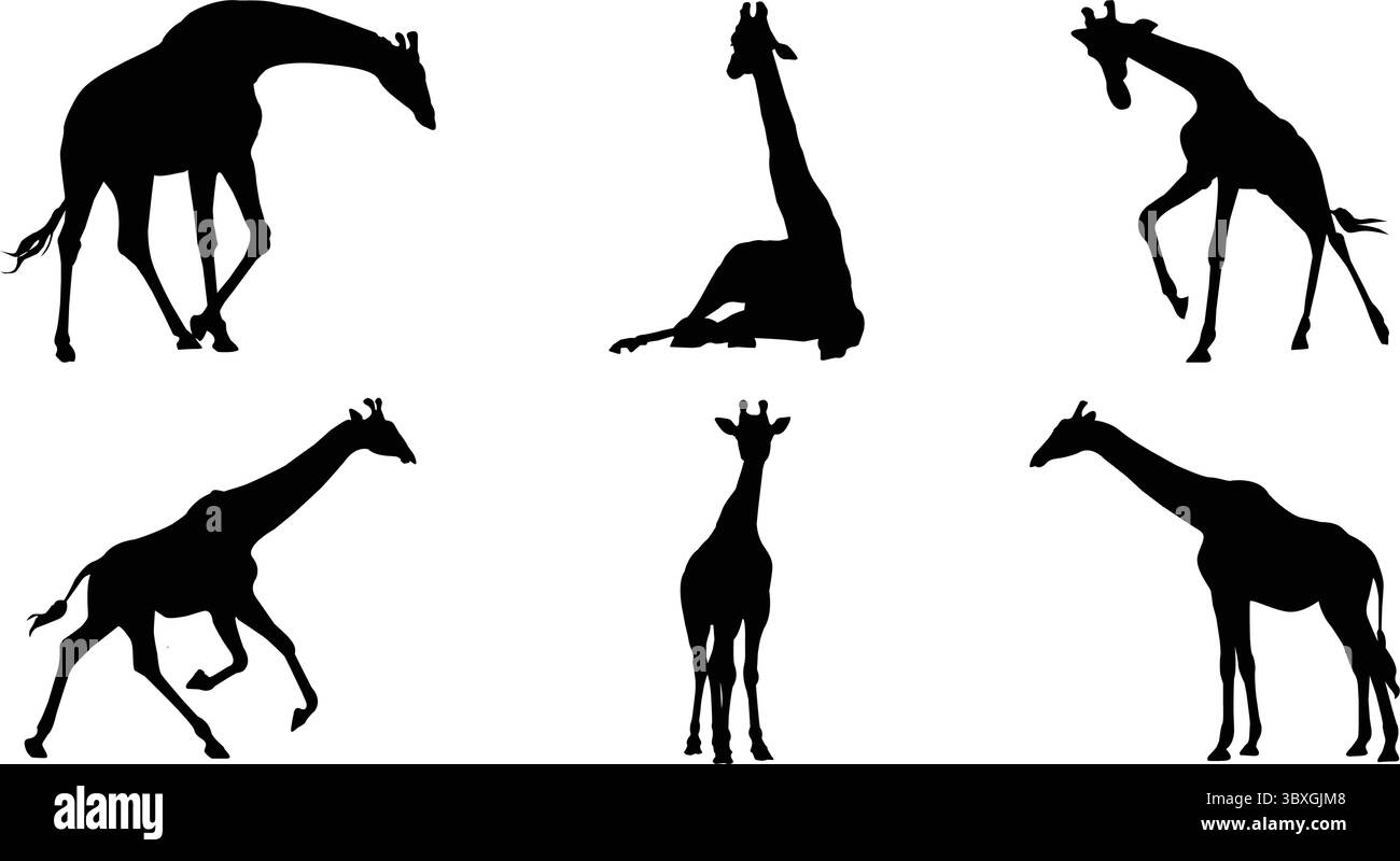 Digital food sticker Cut Out Stock Images & Pictures - Alamy