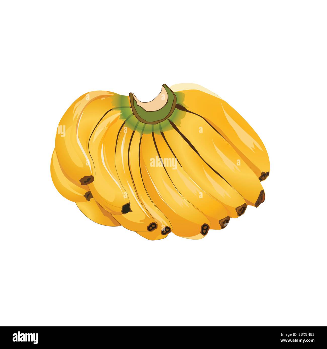 Fresh Yellow Bunch of Bananas illustration vector-based drawing vol 01 Stock Vector Image & Art ...