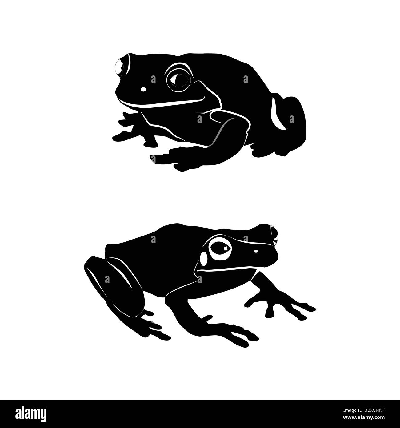 Frog isolated black white Stock Vector Images - Alamy