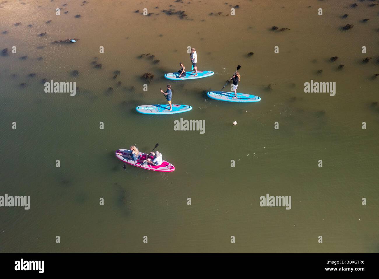 Aerial view paddleboarders gliding hi-res stock photography and images ...