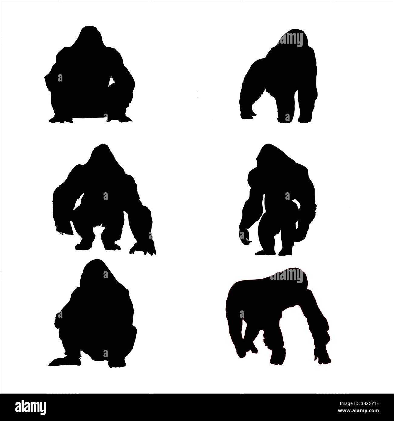 Gorilla Shapes with white background illustration Stock Vector Image ...