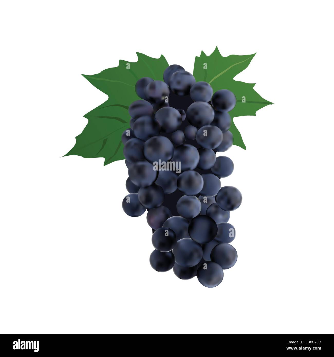55 01 Stock Vector Images - Alamy