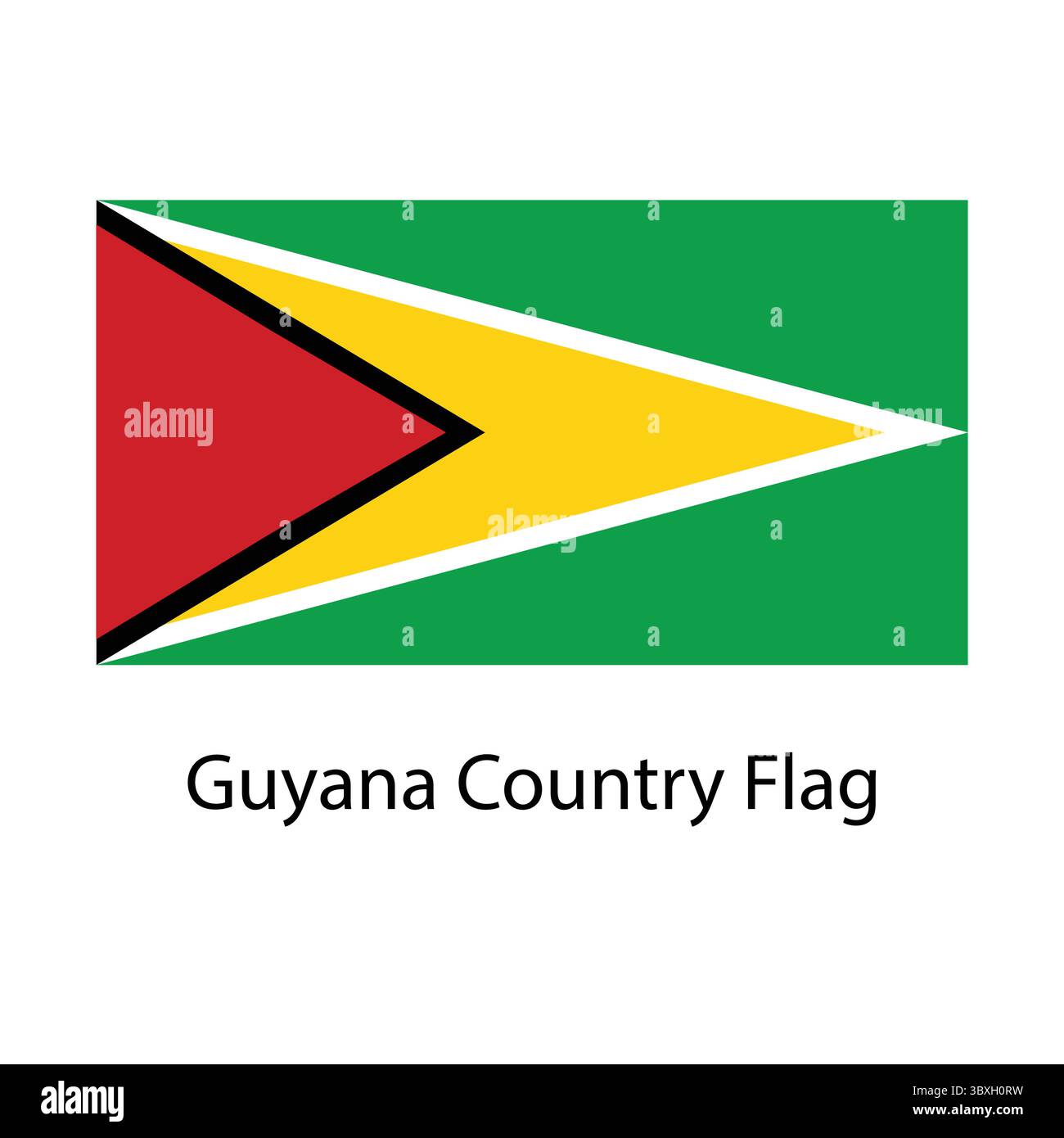 Guyana Country Flag hand drawing illustration vector-based drawing ...