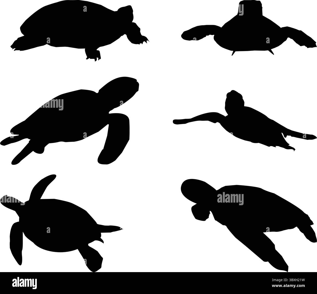 Poster hand drawn colorful Black and White Stock Photos & Images - Alamy