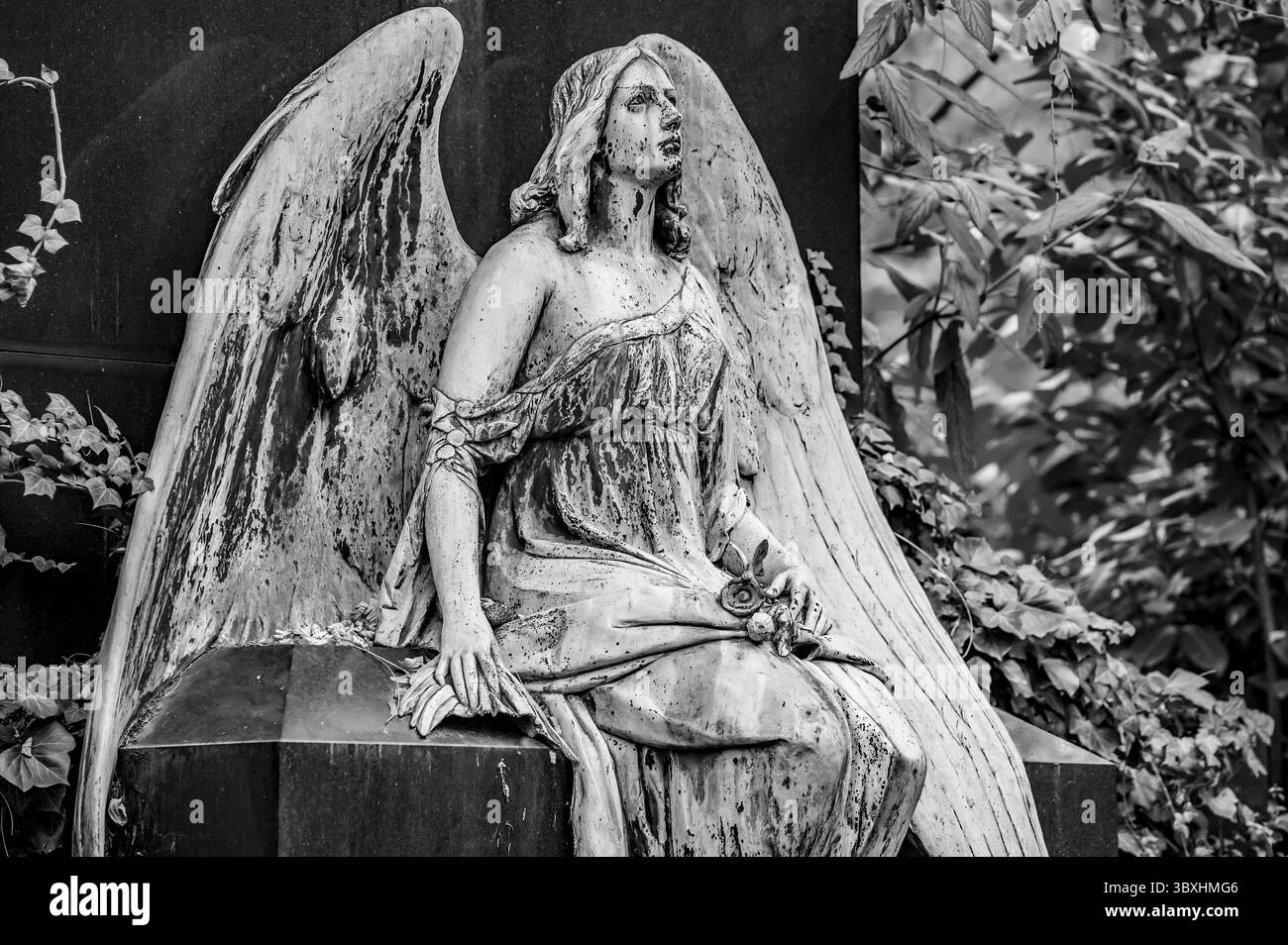 Cemetery planting Black and White Stock Photos & Images - Alamy