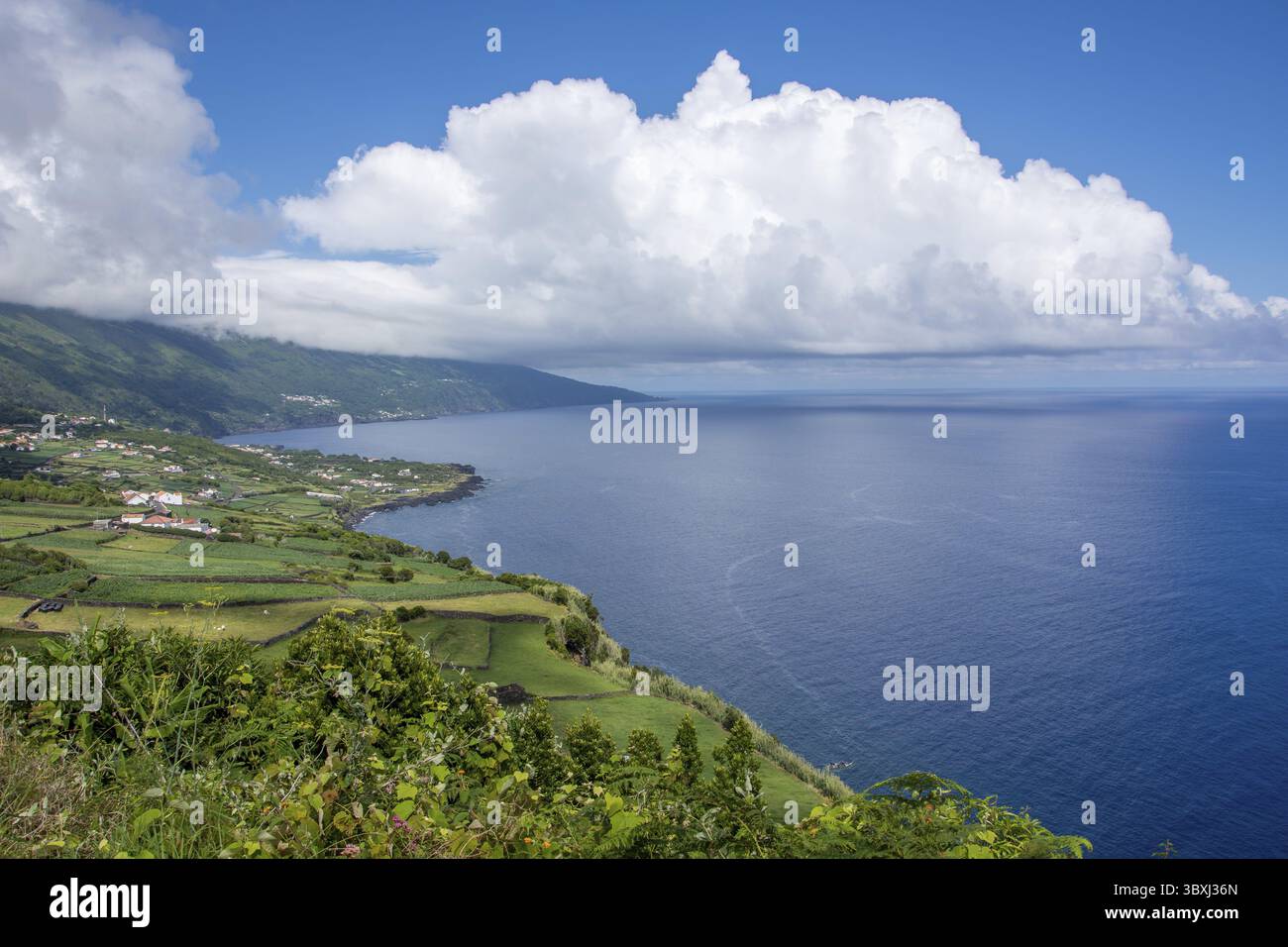 Walk on the Azores archipelago. Discovery of the island of Pico, Azores ...