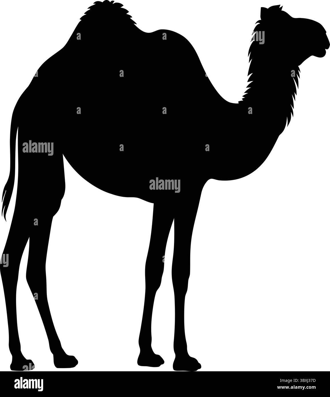"Elegant Camel Silhouette Stock Vector Image & Art - Alamy