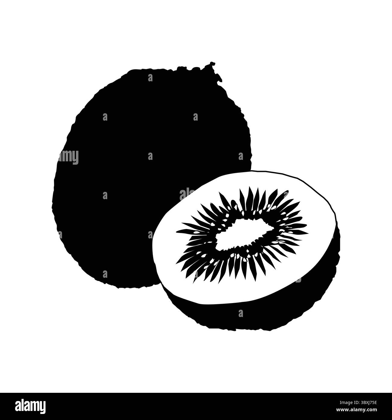 Kiwi grunge sticker. Black texture silhouette with lettering inside ...
