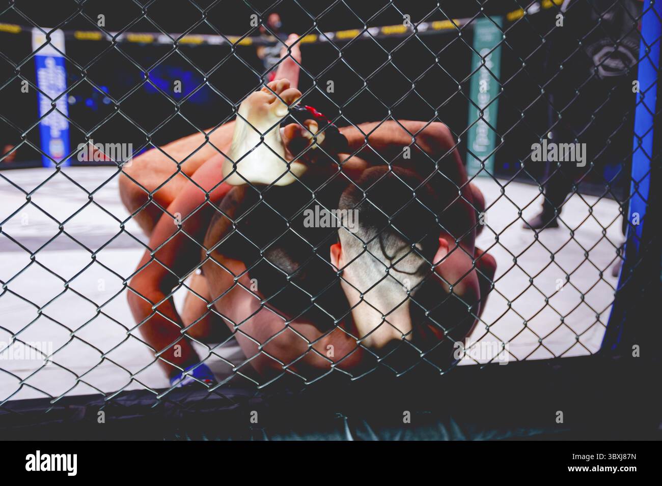 Two strong muscular professional MMA fighters fighting, they are in ...