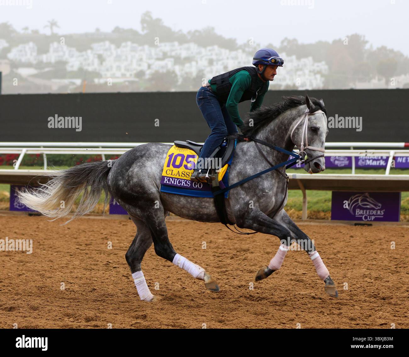Brad cox trainer hi-res stock photography and images - Alamy