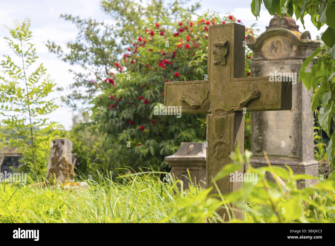 Tombstones in an old abandoned cemetery overgrown with grass Stock ...