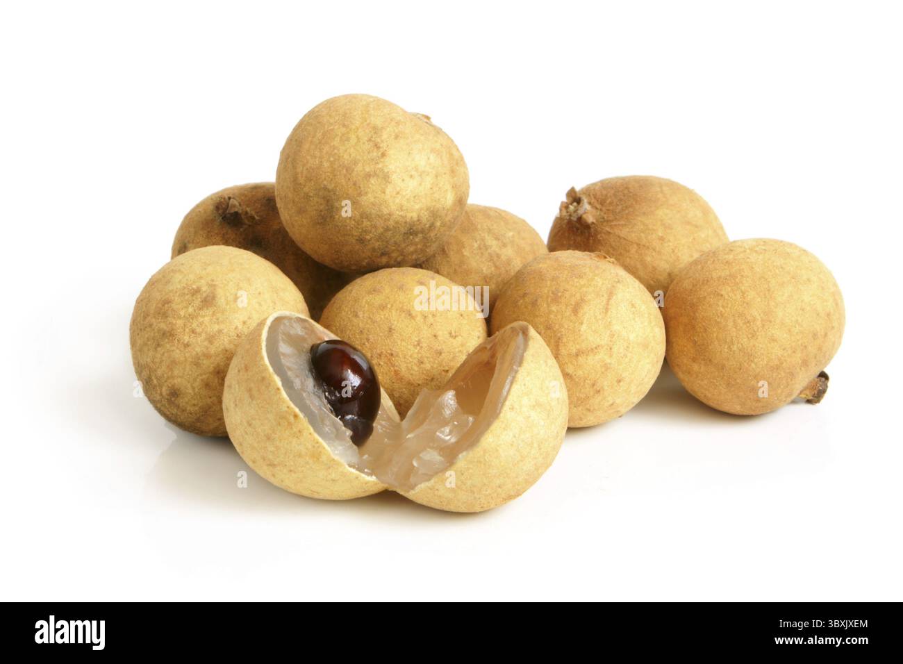 Close up view southeast Cut Out Stock Images & Pictures - Alamy