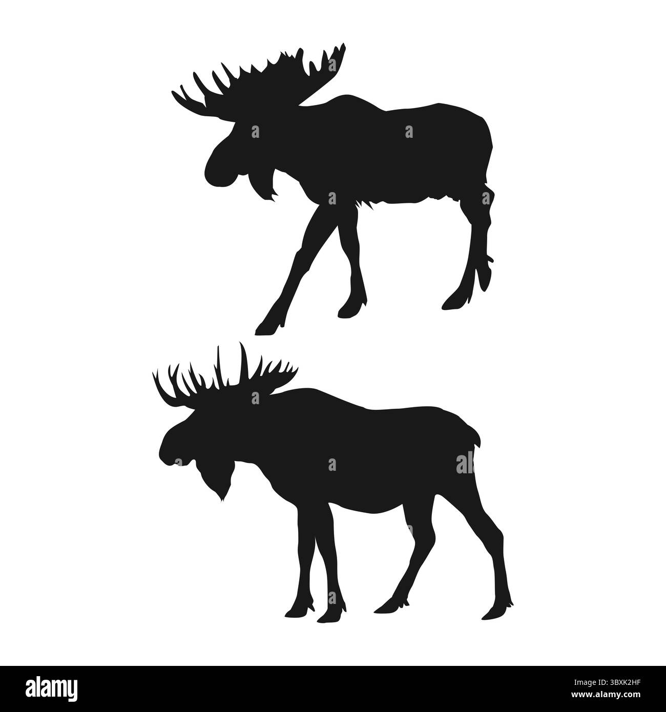 8 04 Stock Vector Images - Alamy