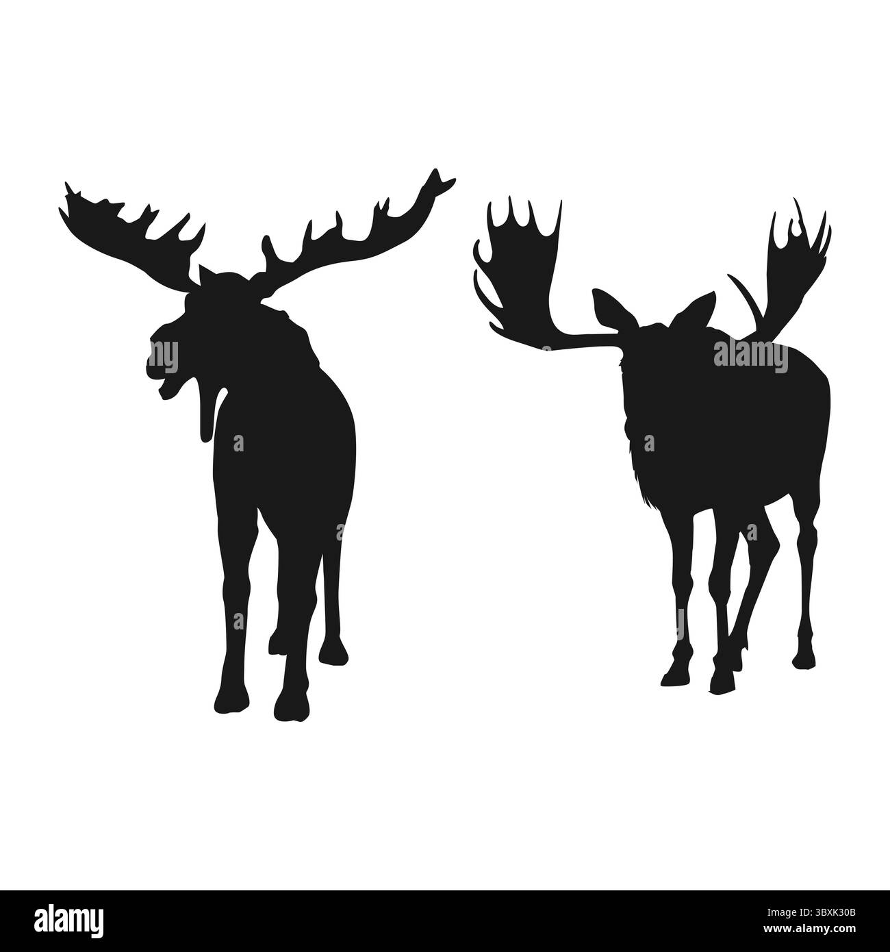 7 05 Stock Vector Images - Alamy