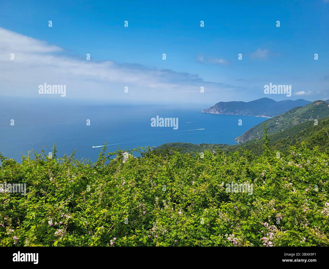 Scenic Hiking Trail from Vernazza to Corniglia in Cinque Terre, Liguria ...