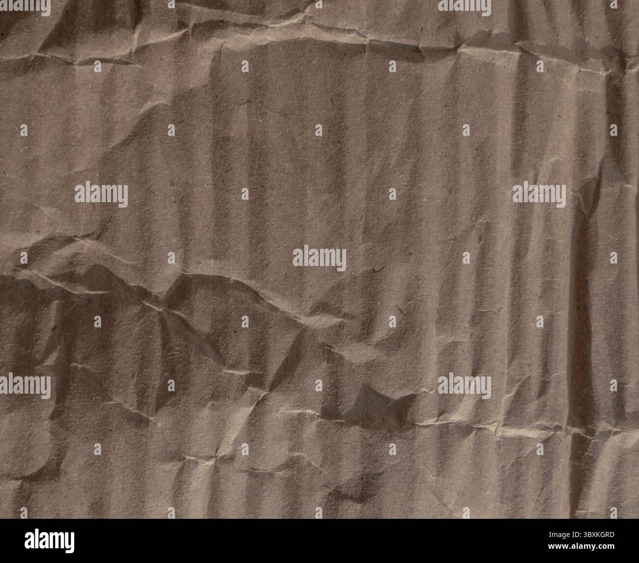 Empty Crumpled Cardboard. Dusty Beige Worn-out Paper Sheet.Old Damaged ...