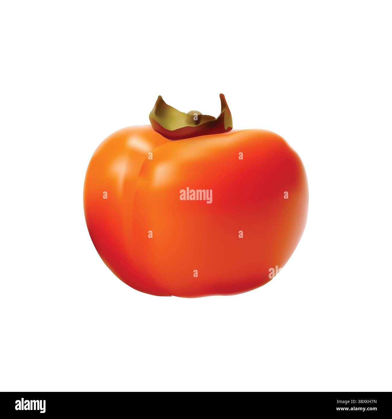 Persimmon drawing Cut Out Stock Images & Pictures - Alamy