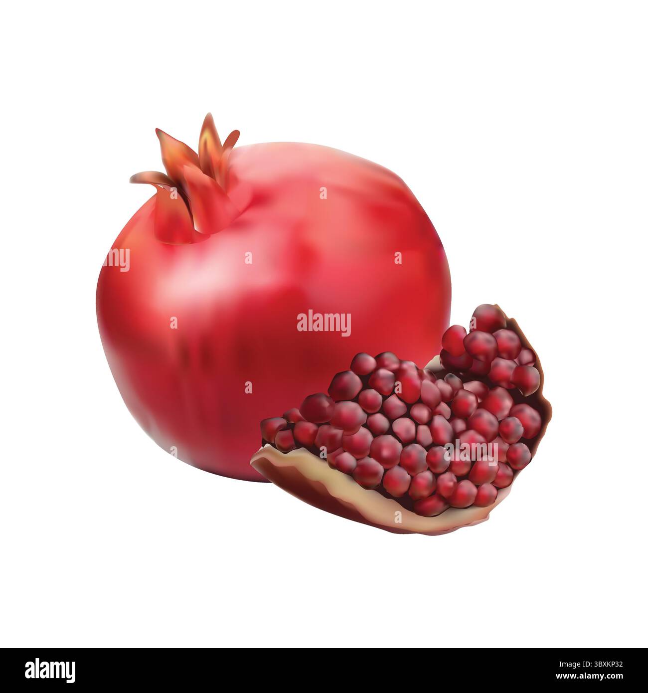 Pomegranate drawing garden fruit Cut Out Stock Images & Pictures - Alamy