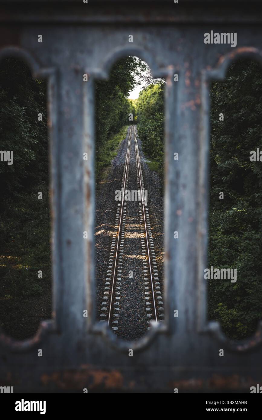 Lost railroad in the woods and separating the forest in two view ...