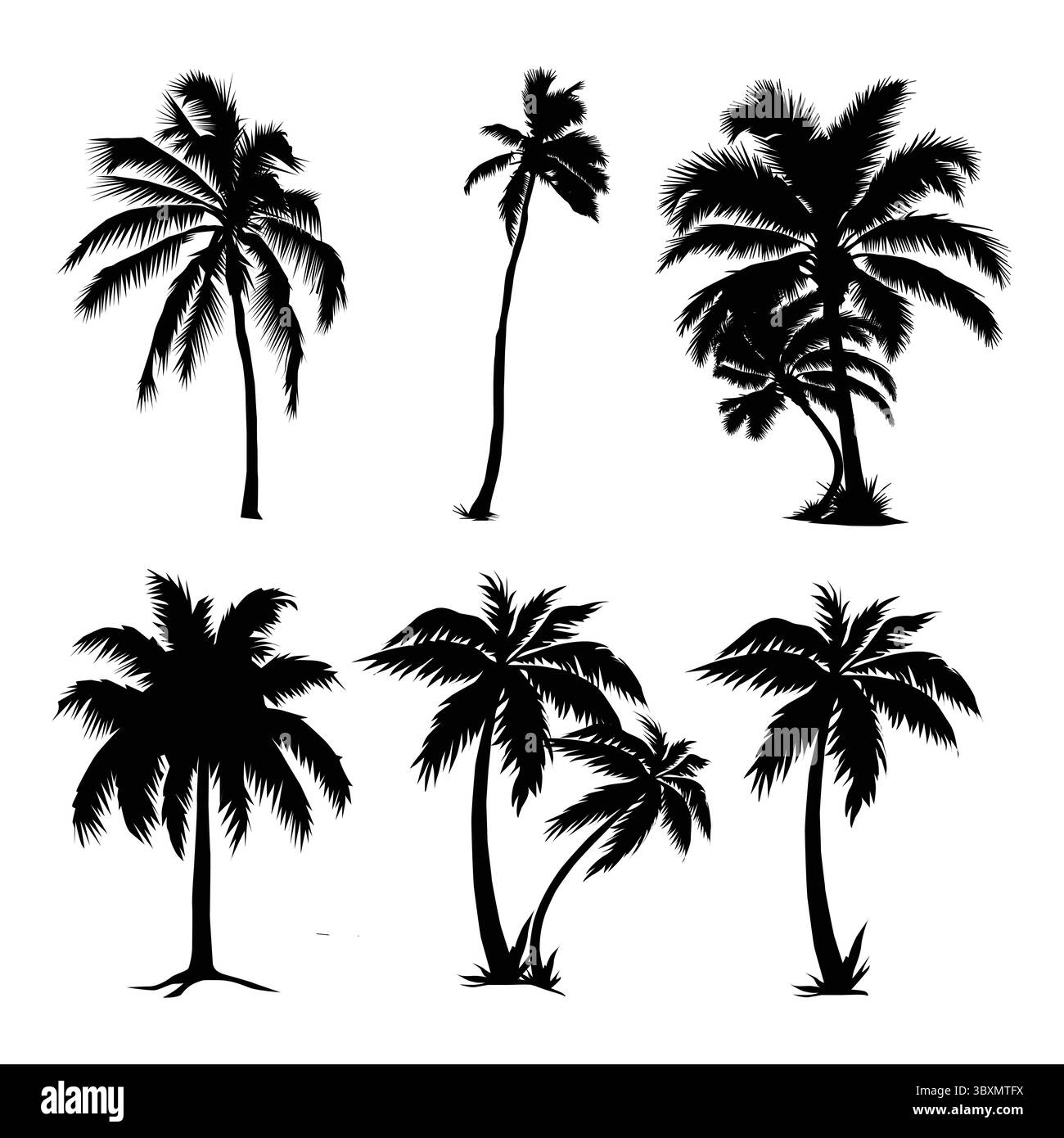 Set of Palm Tree Silhouette Vector Stock Illustrations Vol 01 Stock ...