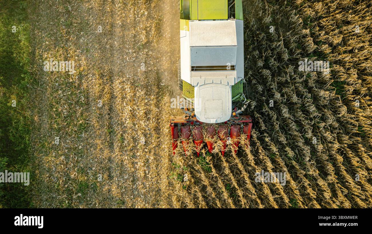 Above view harvester harvesting mature hi-res stock photography and ...
