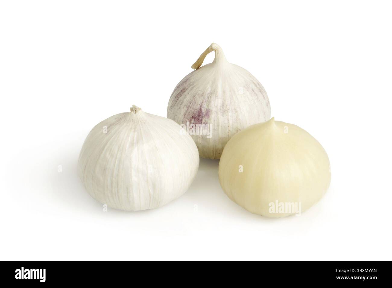 Solo part Cut Out Stock Images & Pictures - Alamy