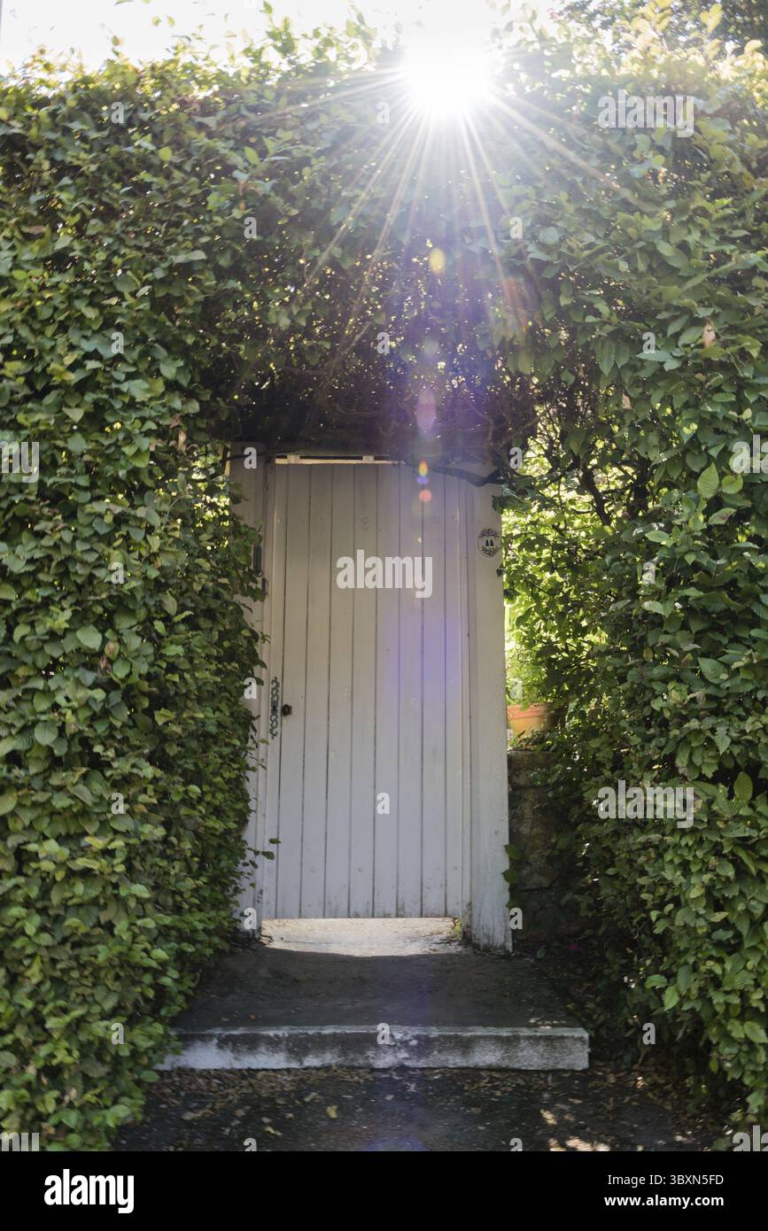 White door enchanted forest hi-res stock photography and images - Alamy