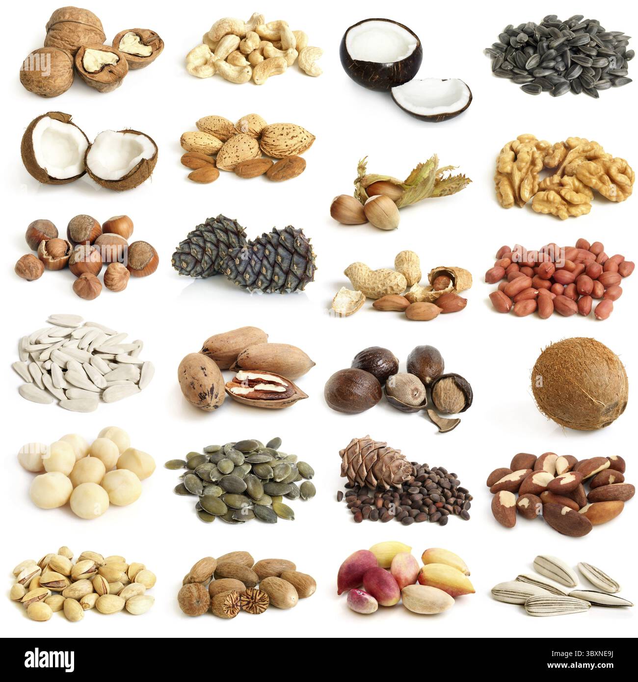 Nuts collection on a white background Stock Photo - Alamy