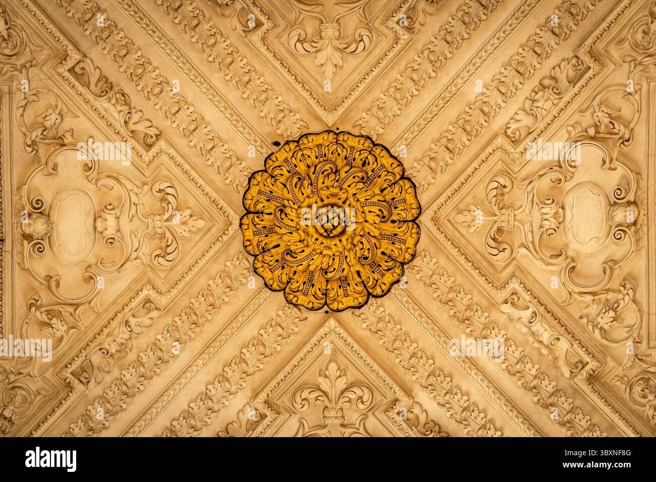 Ceiling Floral Extravaganza is on full display at Alhambra. The ...