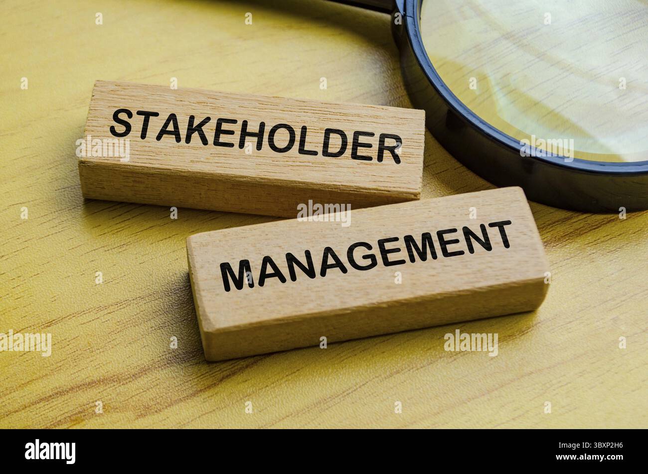 Stakeholder Management text on wooden blocks with magnifying glass ...