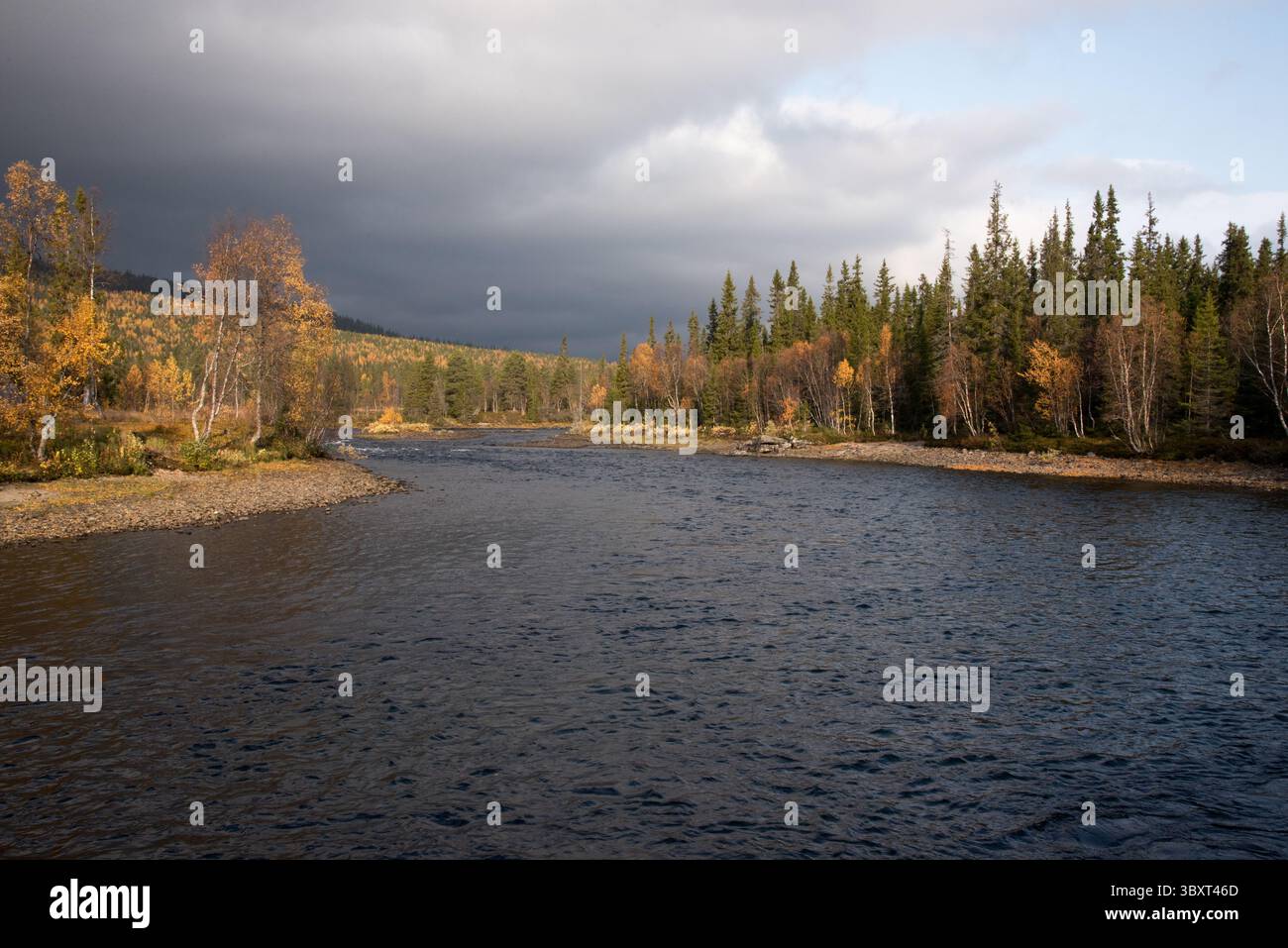 Ankarede was a medieval meeting point first for Sami people only and ...