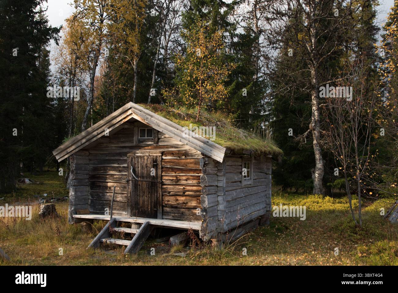 Ankarede was a medieval meeting point first for Sami people only and ...