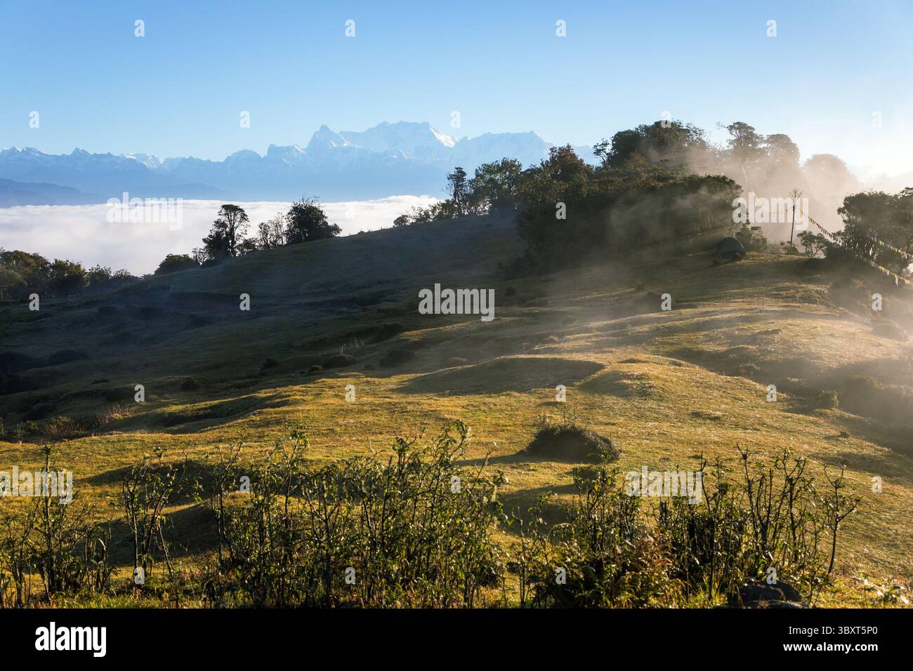 Himalaya, beautiful view from the foothills of the Himalayas to the ...