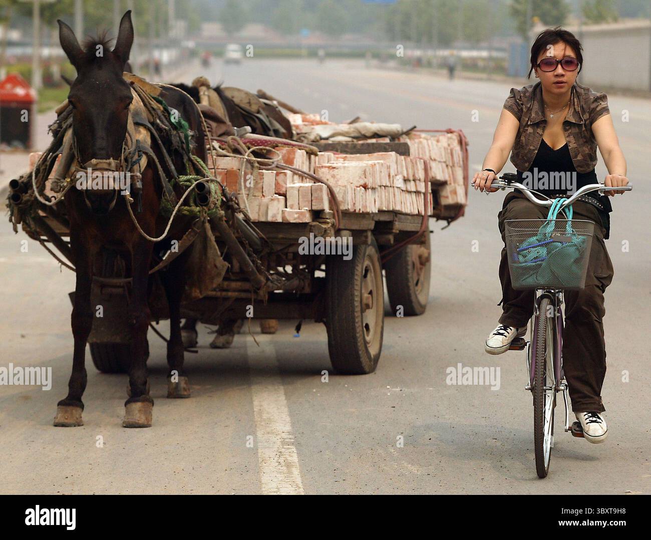 June 8, 2006, BEIJING, CHINA: A Chinese woman cycles past horses ...