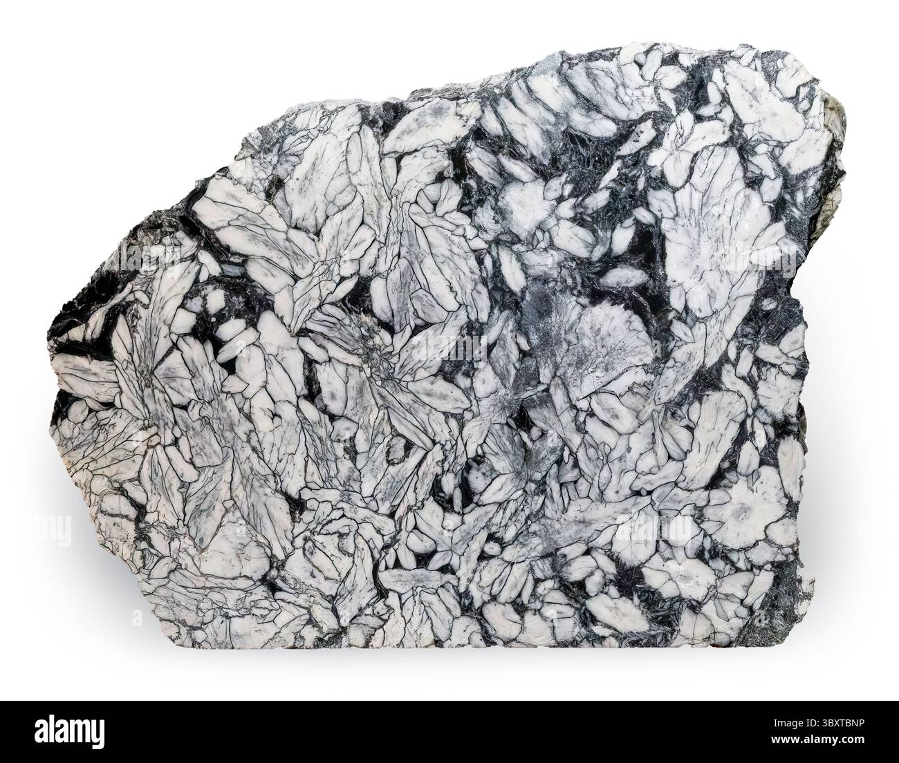 Rock inclusions Cut Out Stock Images & Pictures - Alamy