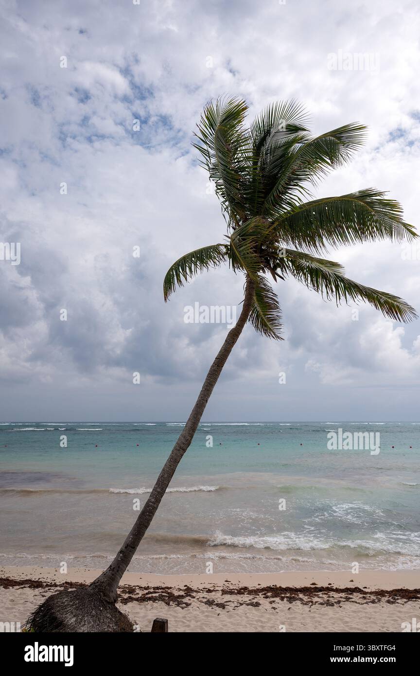 Tropical mexican natural beach hi-res stock photography and images - Alamy