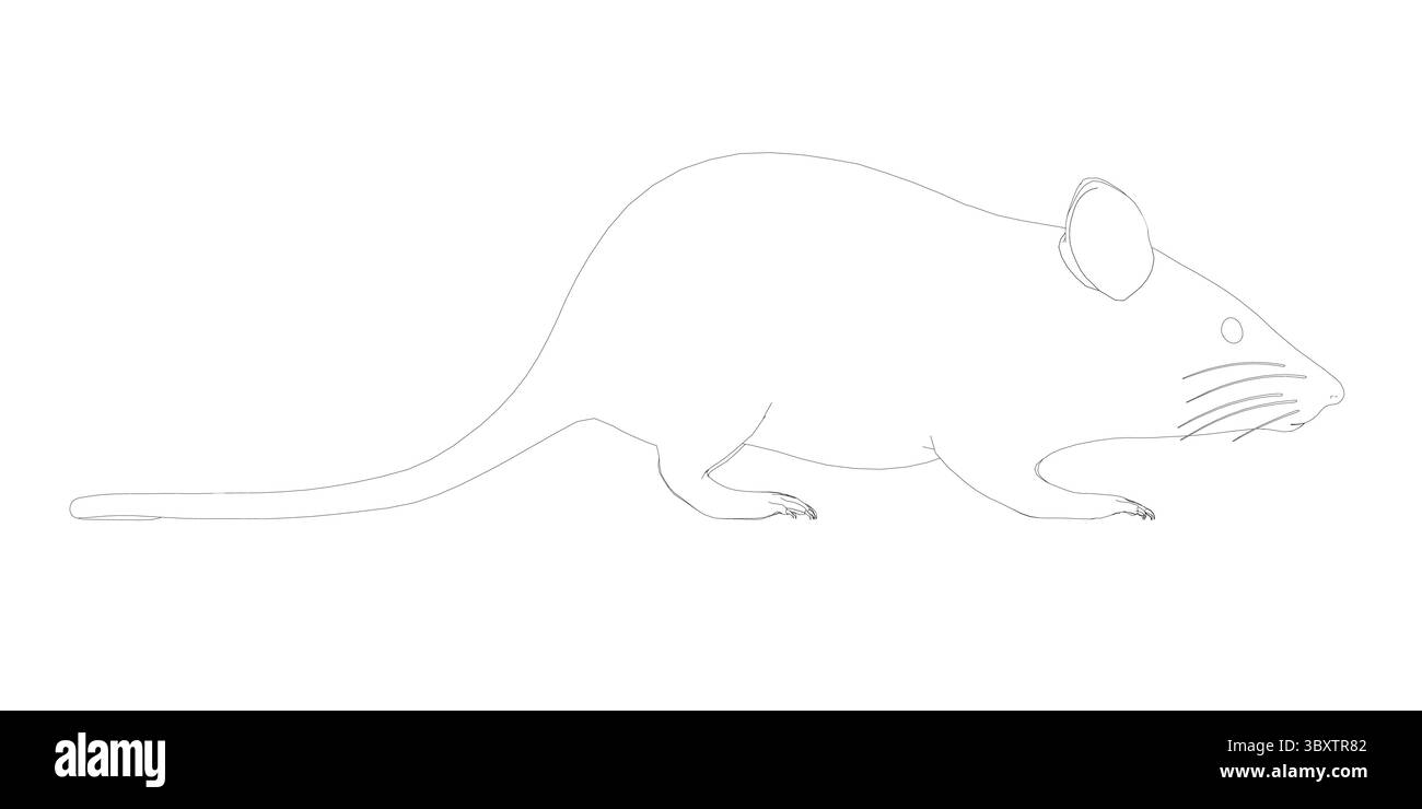 Additional small drawing Stock Vector Images - Alamy