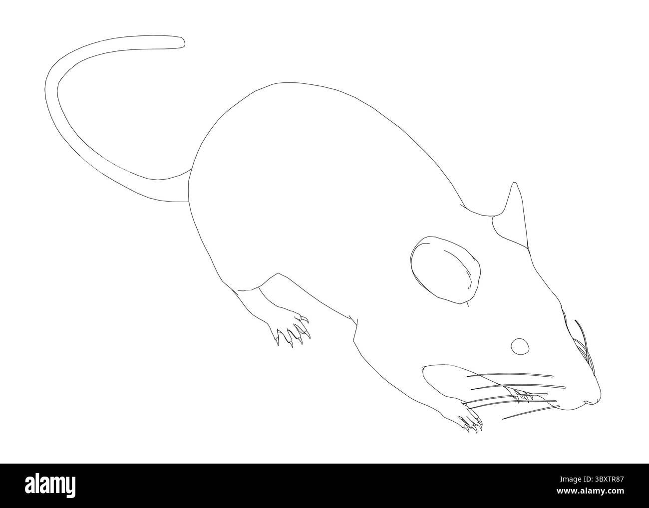 A mouse is shown in a black and white drawing. The mouse is laying on ...