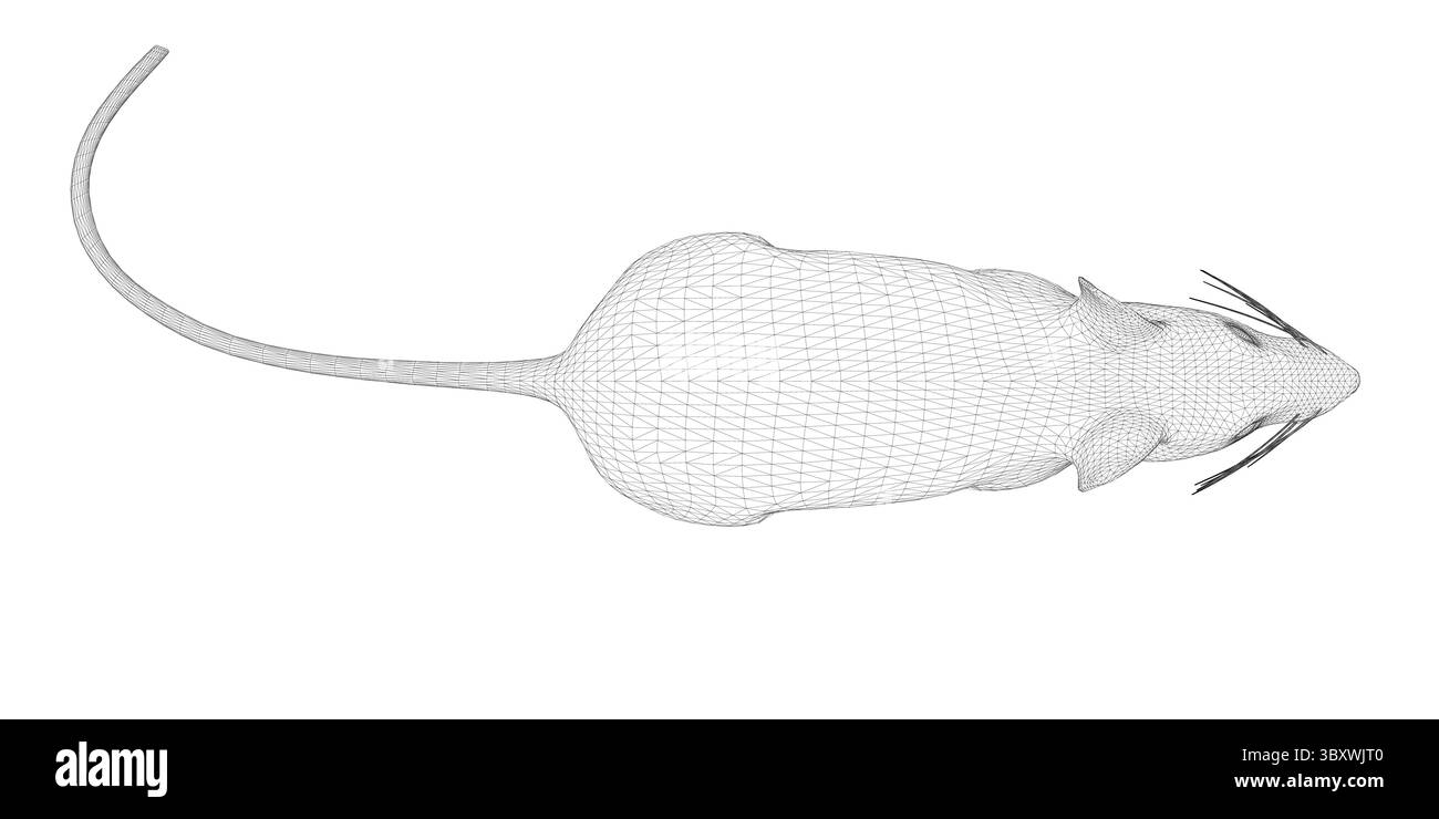 A mouse is shown in a black and white illustration. The mouse is curled ...