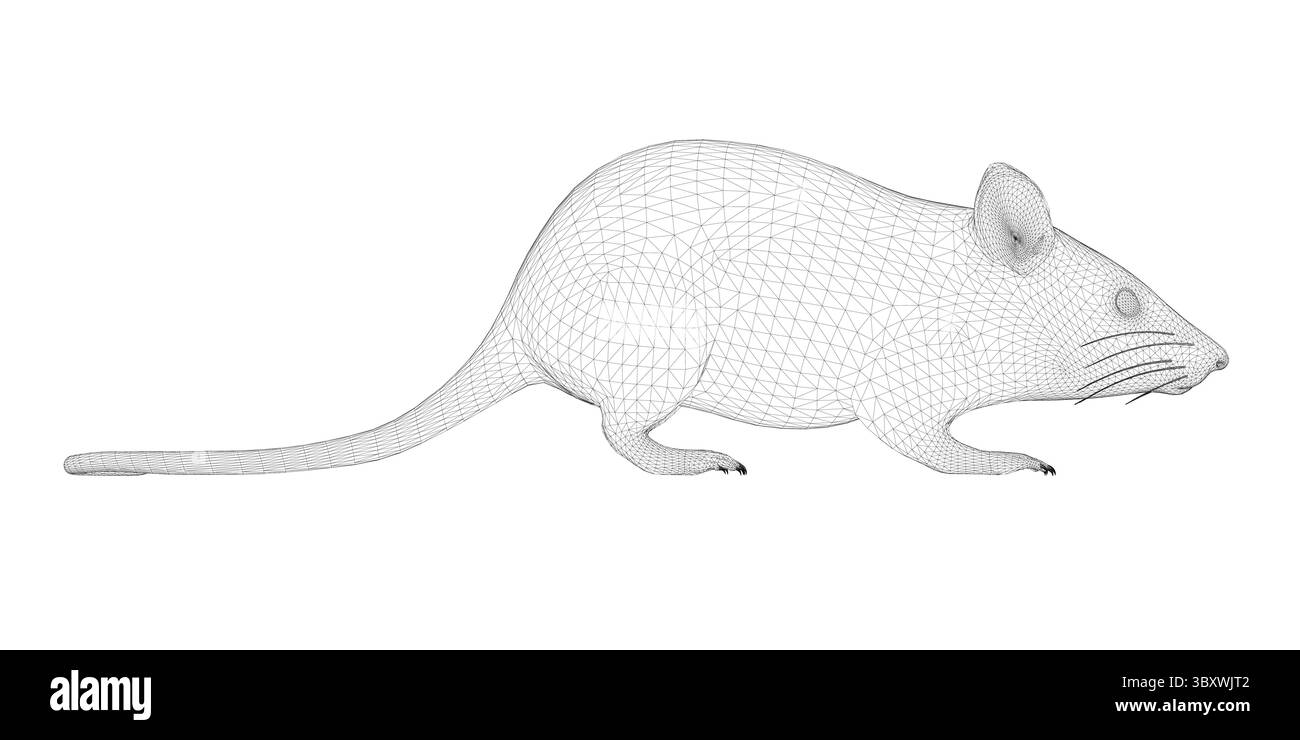 A mouse is shown in a black and white illustration. The mouse is small ...