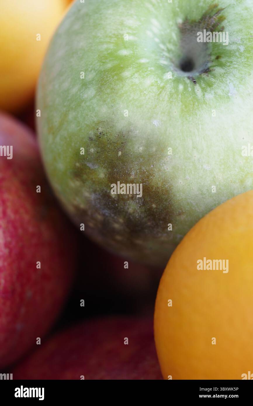 mold apple and orange in a basket Stock Photo - Alamy