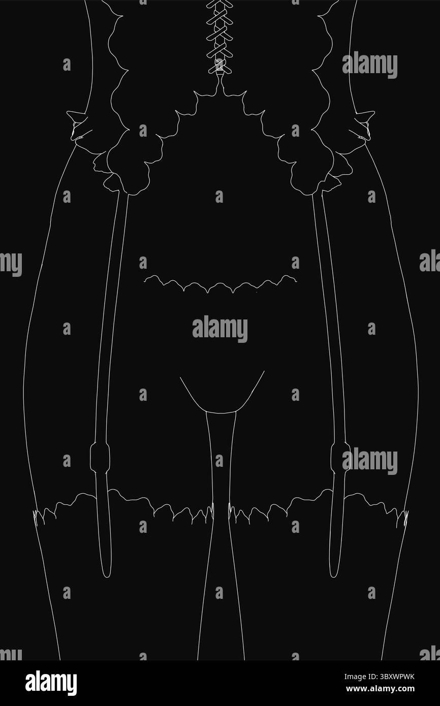 Body top beauty Stock Vector Images - Alamy