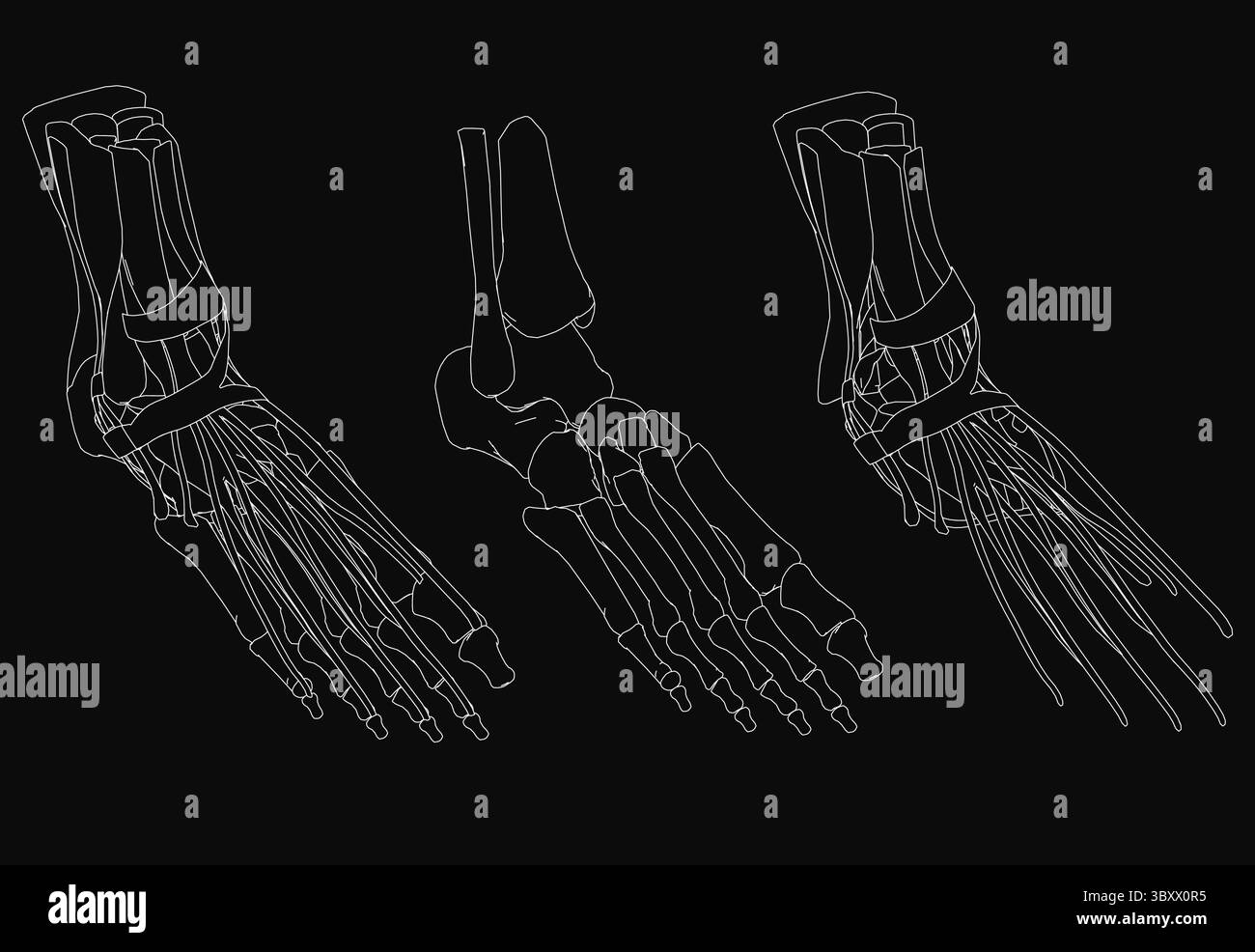 Study of textures Stock Vector Images - Alamy