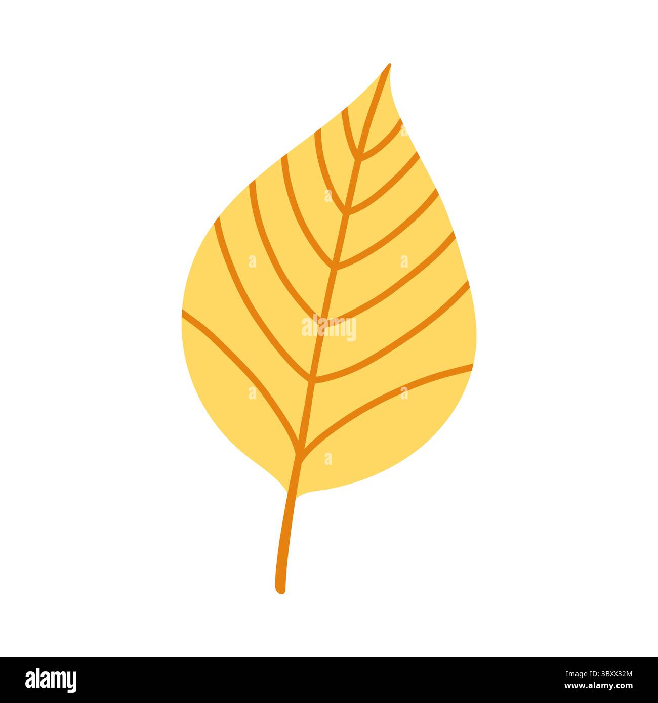 Yellow ash leaf isolated on white background. Simple autumn fall leaf ...