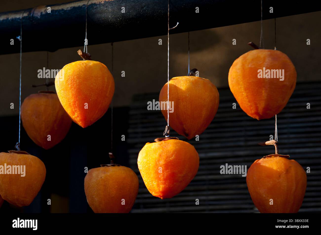 Japanese "kaki" (persimmons) tied together with string drying under ...