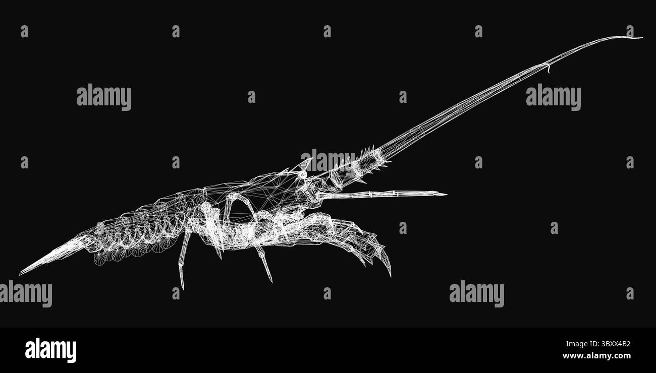 Ancient marine arthropod Black and White Stock Photos & Images - Alamy