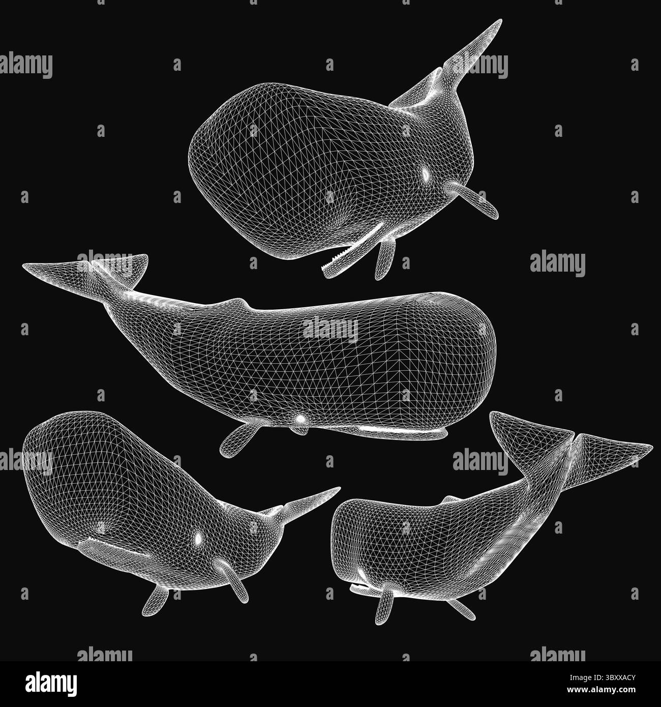 Whale skeleton illustration hi-res stock photography and images - Alamy