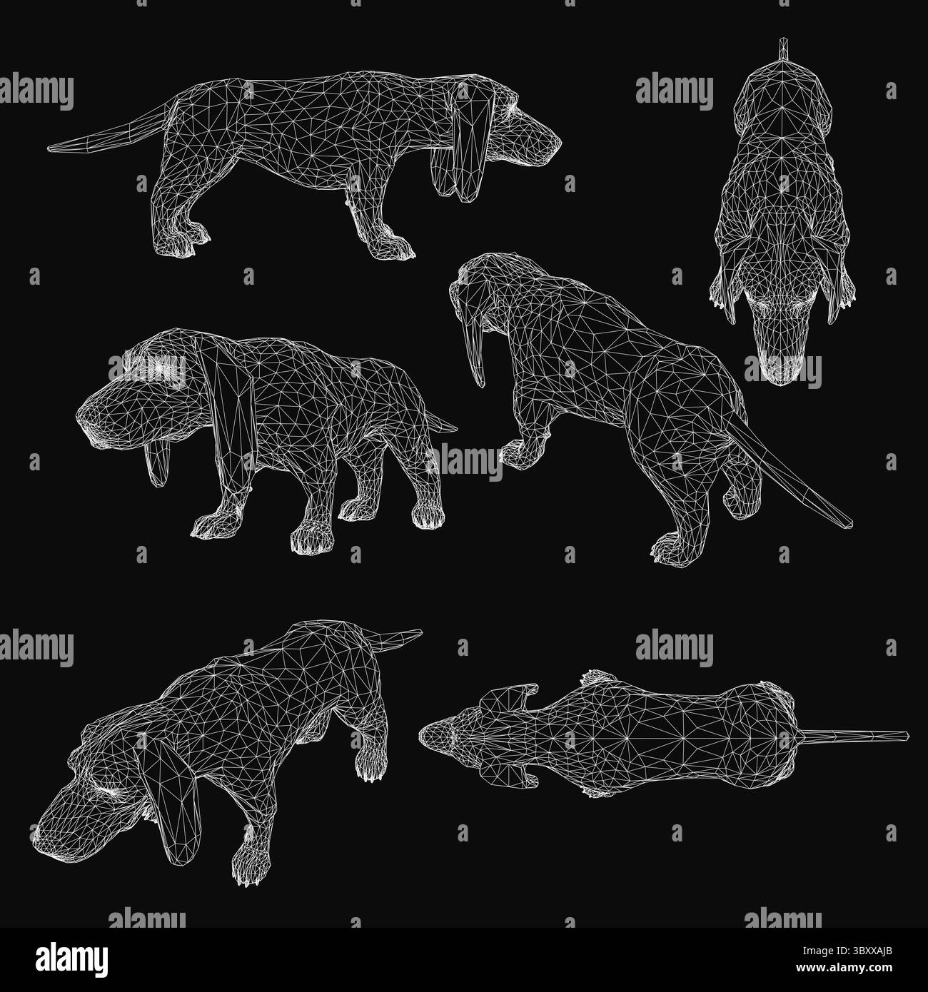 Dachshunds white background Stock Vector Images - Alamy